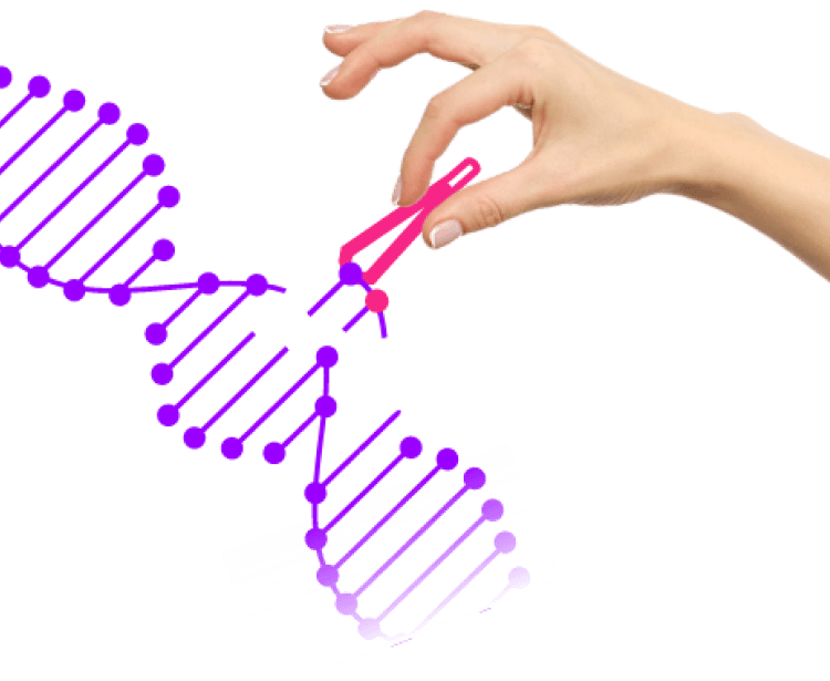 מחקרים - My Genes